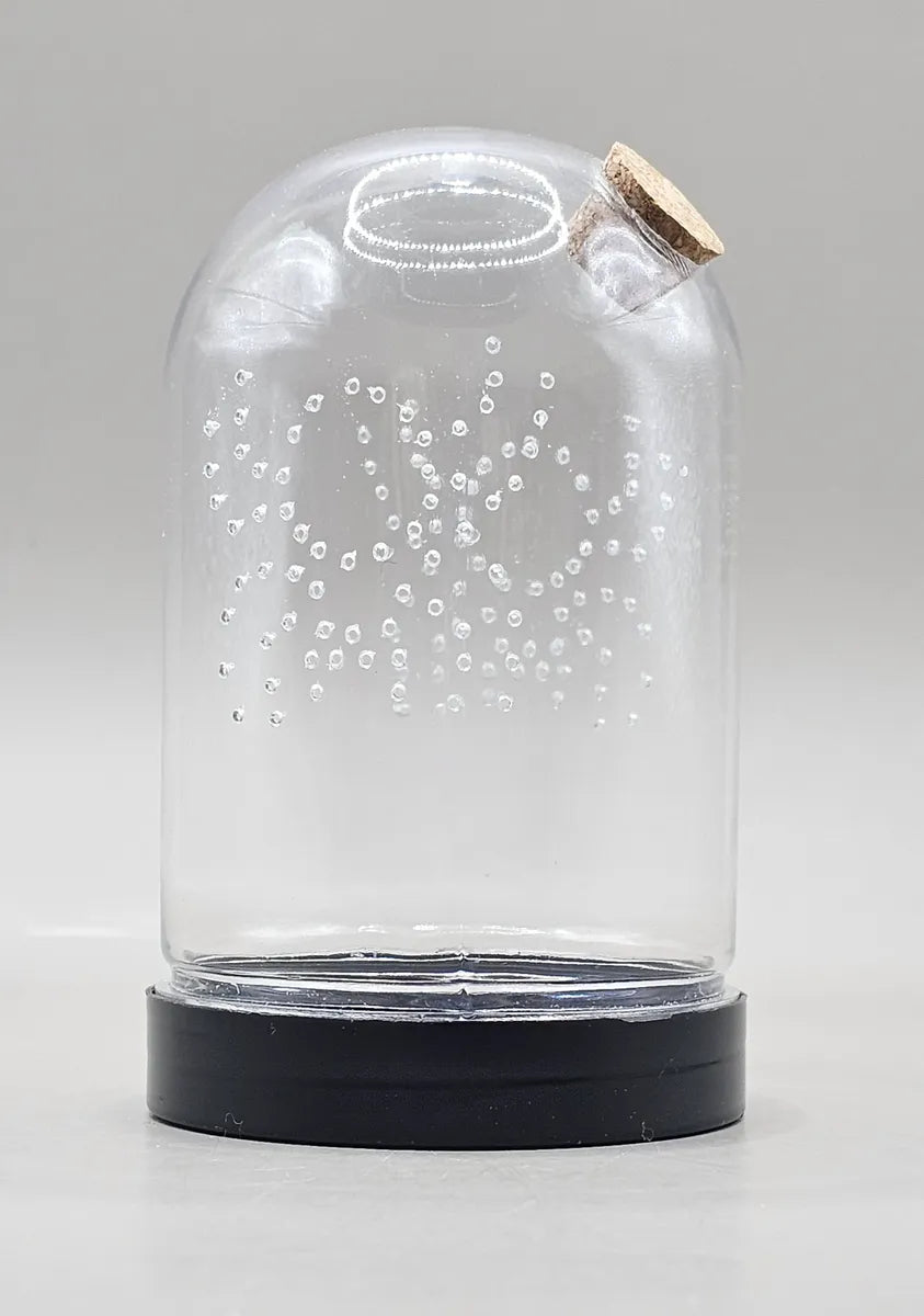 Small Dome Bottom Opening Enclosure (With Feeding Hole) – Salticid ...